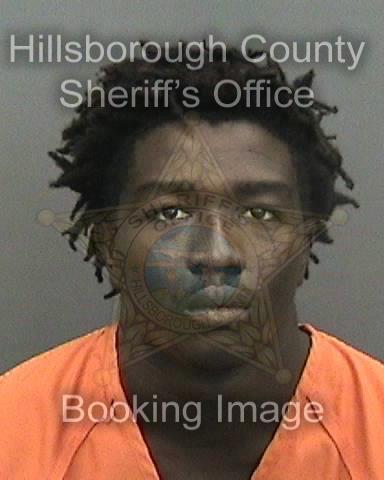 ELIJAH ALEXANDER PERKINS of TAMPA booked for