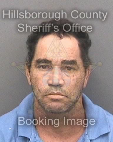 ERASMO ANTONIO PICHARDO BRITO of TAMPA booked for
