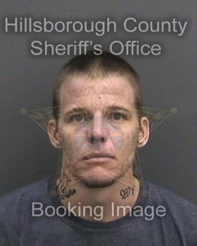 Hillsborough County Who's in Jail - HCSO Arrest Inquiry Search
