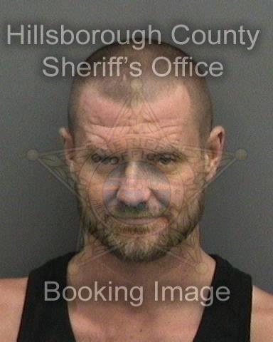 JONATHAN PHILIP YOUNG of TAMPA booked for
