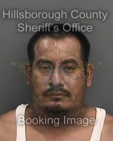 JOSE SUAREZ of PLANT booked for