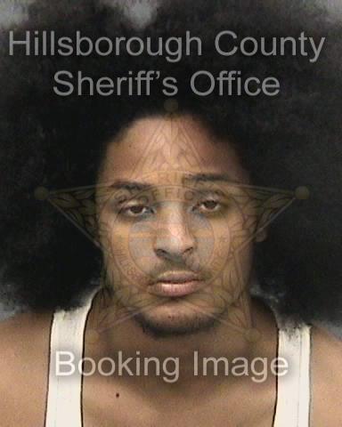 JOSEPH JEROME WADE of TAMPA booked for
