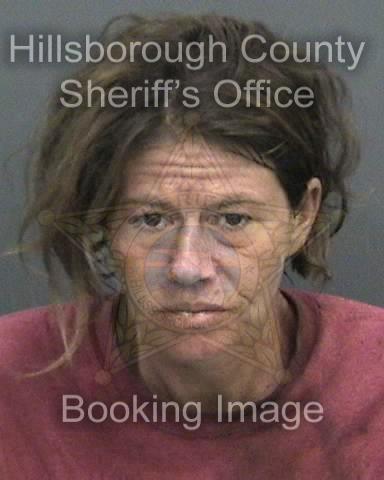 MELISSA JEANETTE DEVLIN of TAMPA booked for