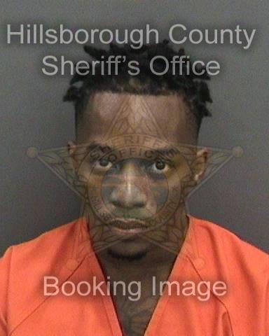 MICHAEL CHARLESTON PORTEOUS of SEFFNER booked for