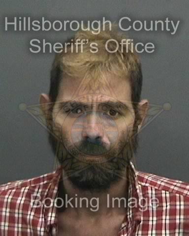 MICHAEL EDWARD LEE of BRANDON booked for