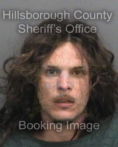 MILES HARRISON STEVES of RIVERVIEW booked for