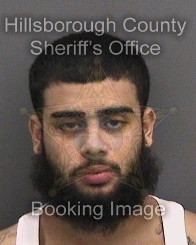 ROBERT CHARLES JR FRANCESCHINI of SPRING booked for