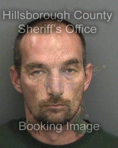 SHAWN SLAVIK of TAMPA booked for