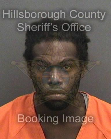 TRESTON D LEWIS of TAMPA booked for