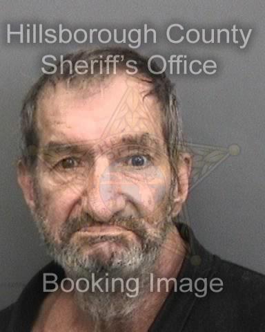 WILLIAM FRANK KING of TAMPA booked for