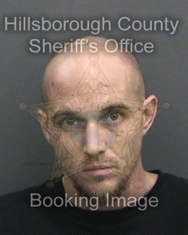 ANDREW WILLIAM SPIRES of PLANT booked for