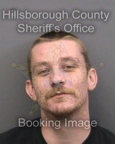 BRUCE MICHAEL BENDER of TAMPA booked for