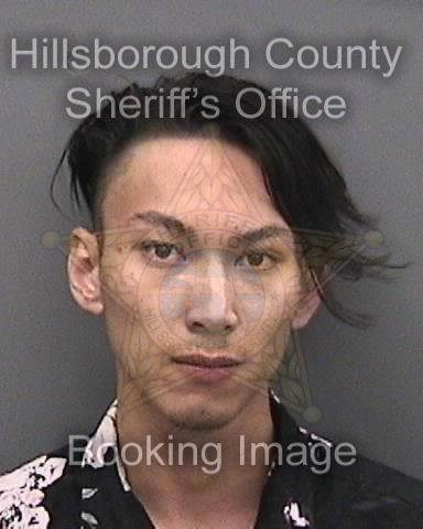 CARL ROSS NICKLIN of NAPERVILLE booked for