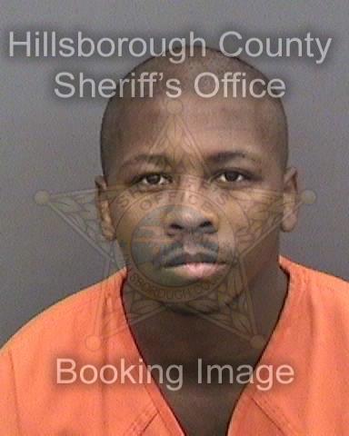 DAGOBERTO ULISES JR GARCIA of TAMPA booked for