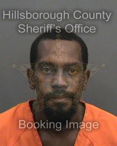 DARRELL D MCCULLOUGH of TAMPA booked for