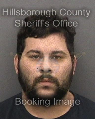 DAVID OLEA of TAMPA booked for