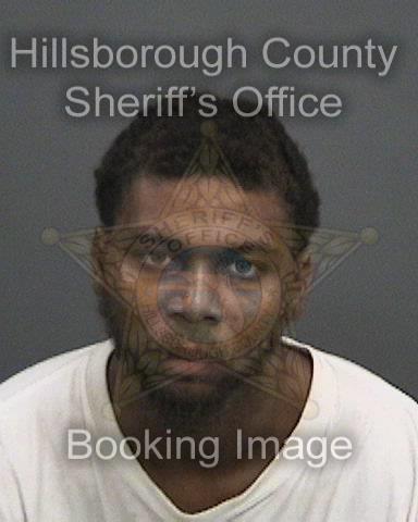 DAVON MARQUIS PHILLIPS of TAMPA booked for