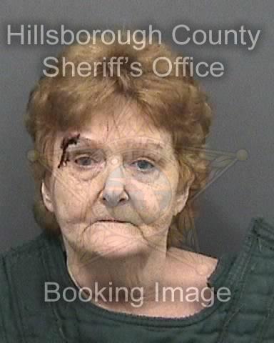 DAWN MARIE SMITH of TAMPA booked for