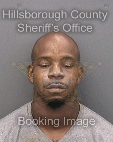 KAMERON ELLIS MCCALL of TAMPA booked for
