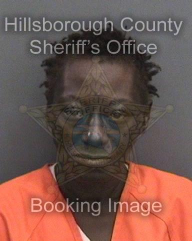 TEANDRA ALEXANDRA FLOURNORY of TAMPA booked for