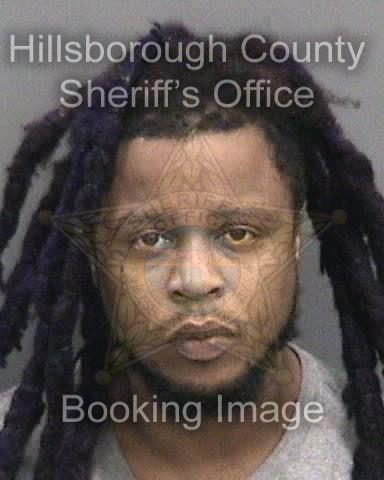 ANTHONY TYRONE ANDREWS of RIVERVIEW booked for