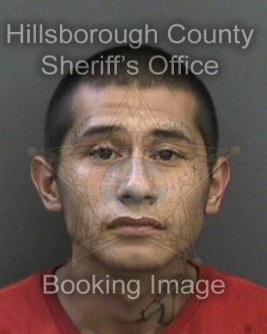 AUSTIN NICHOLAS CASTILLO of PLANT booked for