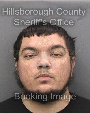 CHRISTOPHER THOMAS SOTO of TAMPA booked for