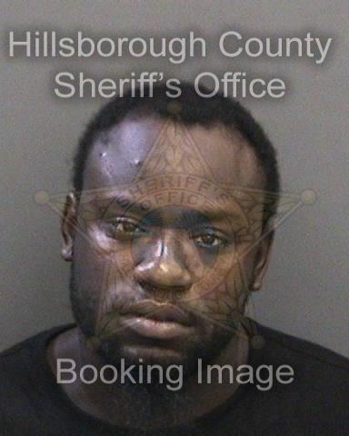 DAVION DEMARCUS BRYANT of TAMPA booked for