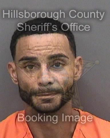 HARRY MARIO FAISON of BRANDON booked for