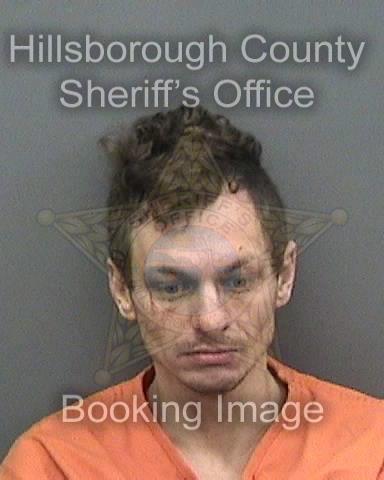 JAMES BOHLERT of TAMPA booked for