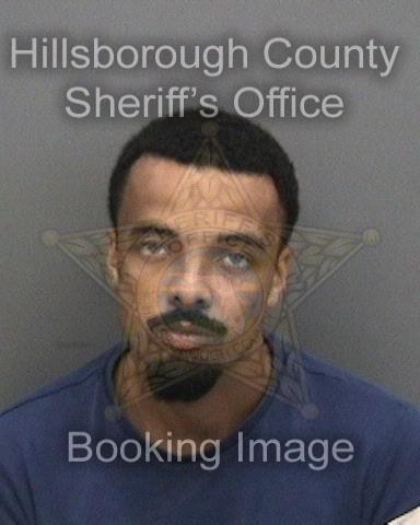 JIMAHL DANIEL TERRY of GIBSONTON booked for
