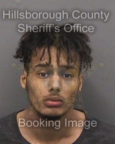 JOSHUA ISAIAH MCKINNEY of TAMPA booked for