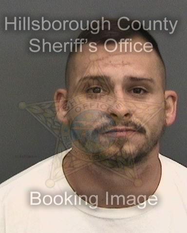 MATTHEW RYAN TAYLOR of DOVER booked for