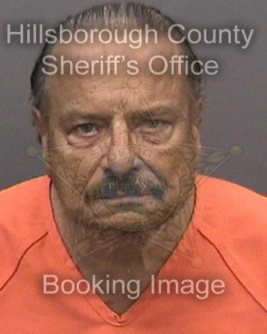 MORRIS JOSEPH JR FONTE of TAMPA booked for