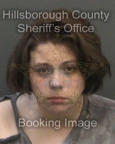 PATRICK ALEXANDER DANLEY of VALRICO booked for