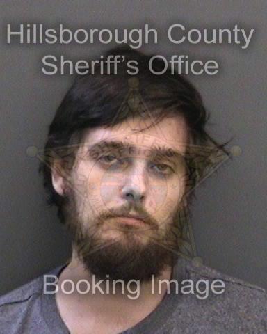 PEYTON AUSTIN WILBUR of RUSKIN booked for