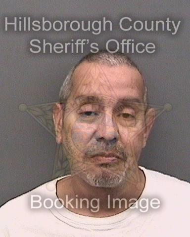 RENE JR VELEZ of RIVERVIEW booked for