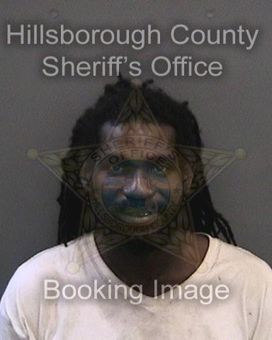 RONALD ANTHONY JR RIGGINS of TAMPA booked for
