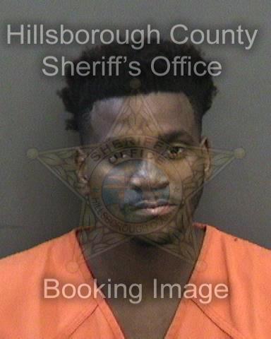 STEVEN PERALTA TERANCIEL of TAMPA booked for