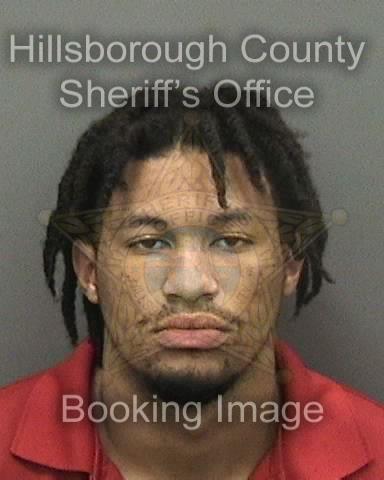 TYLER SAINT CHRISTOPHER PRICE of LAKELAND booked for