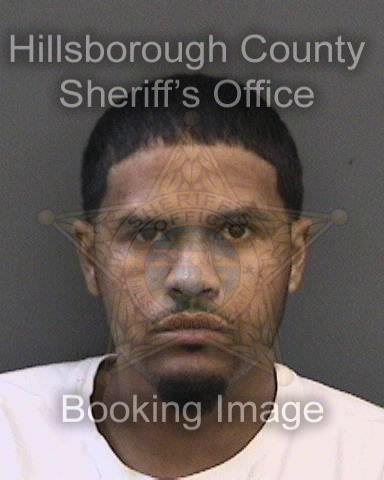 ANGEL MANUEL RODRIGUEZ of TAMPA booked for