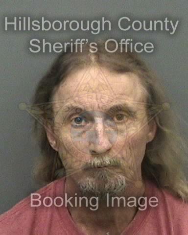 AUSTIN RAY CHEEK of BRANDON booked for