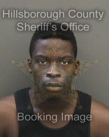 BRANDON KHALIL ALEXANDER of TAMPA booked for