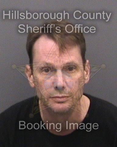 CHRISTOPHER BRIAN WATKINS of RIVERVIEW booked for
