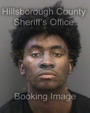 EDRECK LOUIE BALDWIN of WESLEY booked for