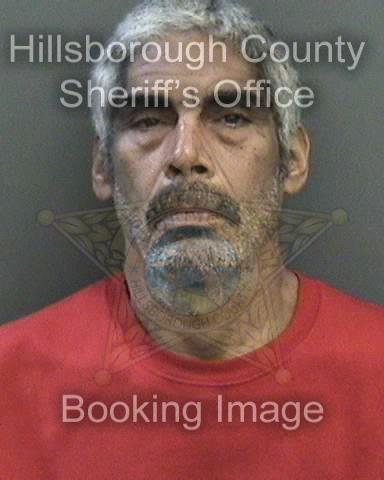 JOSE RAMON JR PITRE of TAMPA booked for