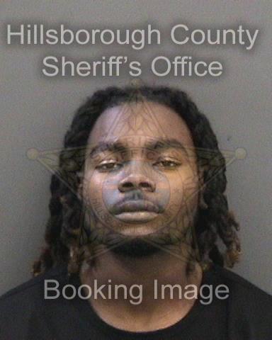 KENTAVIOUS CHARLES CLIFFORD GHOLSTON of VALRICO booked for