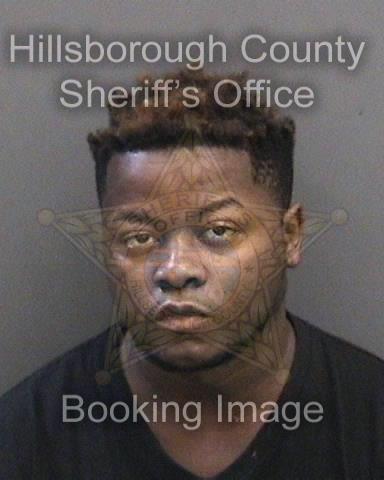 RONNIE EDWARD JENKINS of TAMPA booked for