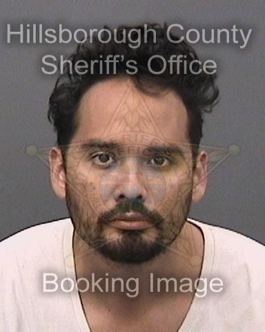 ANGEL MAGANA of TAMPA booked for