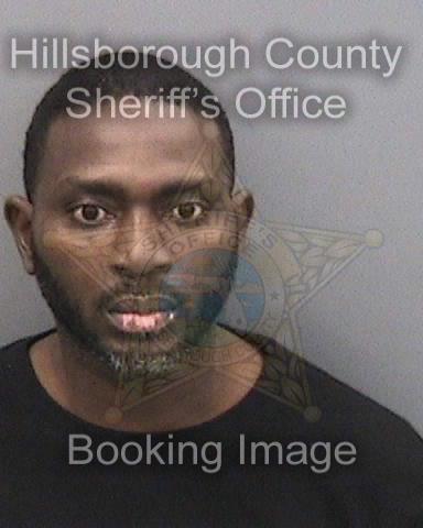 DANYELL TELLEFERRO WILSON of TAMPA booked for